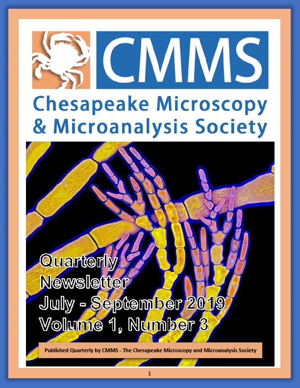 Newsletters – Chesapeake Microscopy and Microanalysis Society